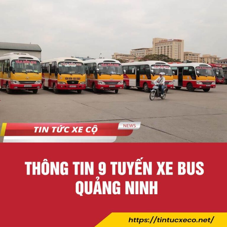 Xe bus Quảng Ninh - Lộ trình 9 tuyến xe bus [Mới nhất] 14/12/2025